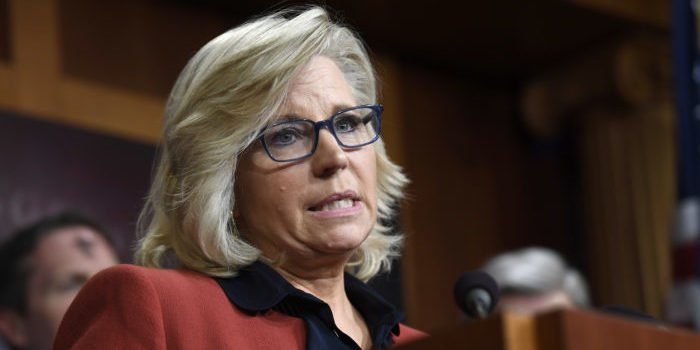 Liz Cheney Tweet Bombarded w/ Fact-Checks after Bogus Trump J6 Claims ...