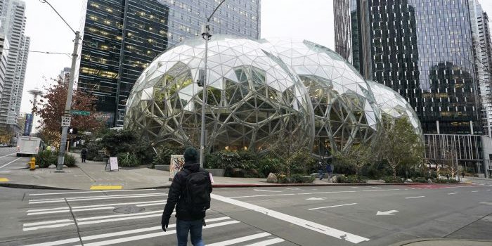 Amazon Leftist Snowflakes Stage Walkout over Company’s Return-to-Office ...