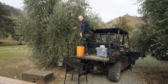 Ex-Calif. Gov. Moonbeam: Climate Change Is Like War | Headline USA