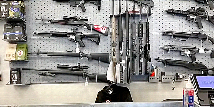 Democrats Pass Gun Grab | Headline USA