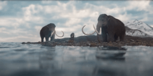 Australian Company Introduces Lab-Grown Woolly Mammoth Meatball ...