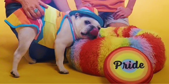 PetSmart Embraces New Type of 'Grooming' for Pride Month | Headline USA