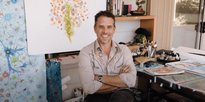 Hunter Biden Sues IRS over Tax Disclosures after Agent Testimony Before ...