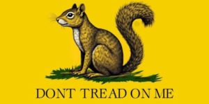 Inside the Investigation, Seizure and Death of Peanut the Social Media ...