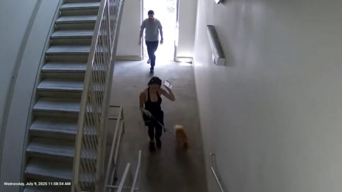 Journalist Shares Chilling Video of Man Chasing Her, Blasts Police for ...